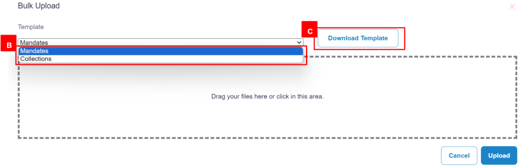 How to Generate Mandate / Collection via Bulk Upload – Payex is now Xendit